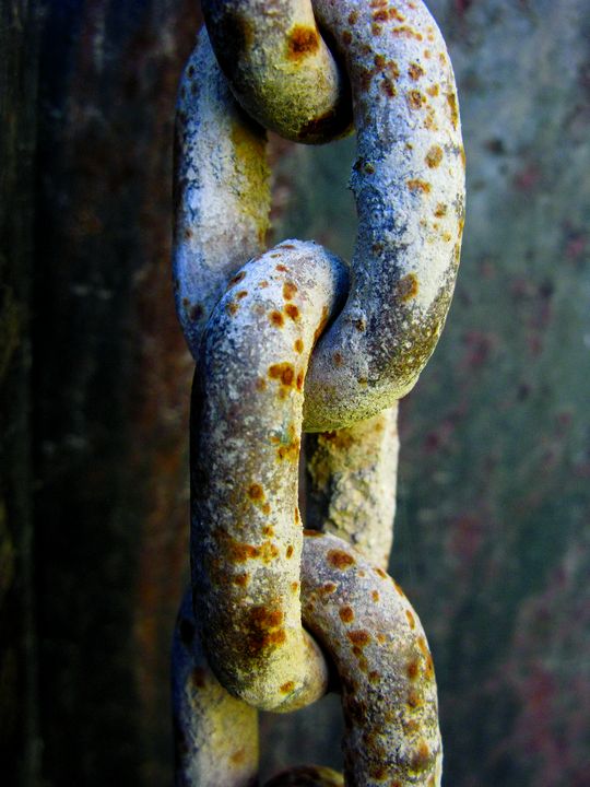 Tight Reign - Jared Davison Photography - Photography, Abstract, Man ...