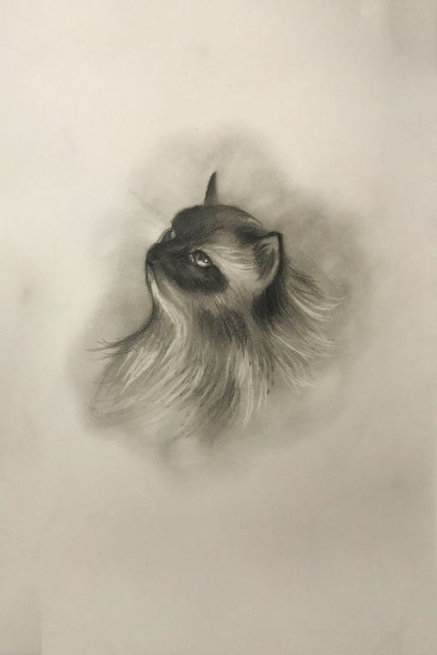 Sketching - Himalayan - Online Lesson Demo Works - Drawings ...