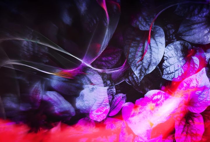 Flower Magick - Welcome to Mystery Custom Creations - Digital Art & AI ...