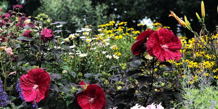 Spring Has Sprung - landscape - woman248.art - Paintings & Prints ...