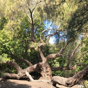 woman248.art - Photography, Paintings & Prints, Drawings & Illustration