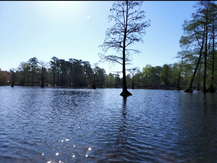 Day at the lake - Ryan's book - Photography, Landscapes & Nature, Lakes ...