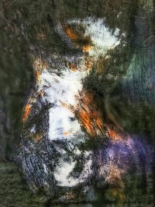 Shawn Sweeney - Paintings & Prints