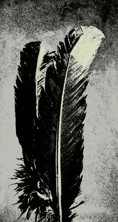 Distorted feathers - Sasha - Digital Art, Still Life, Feathers, Nests ...