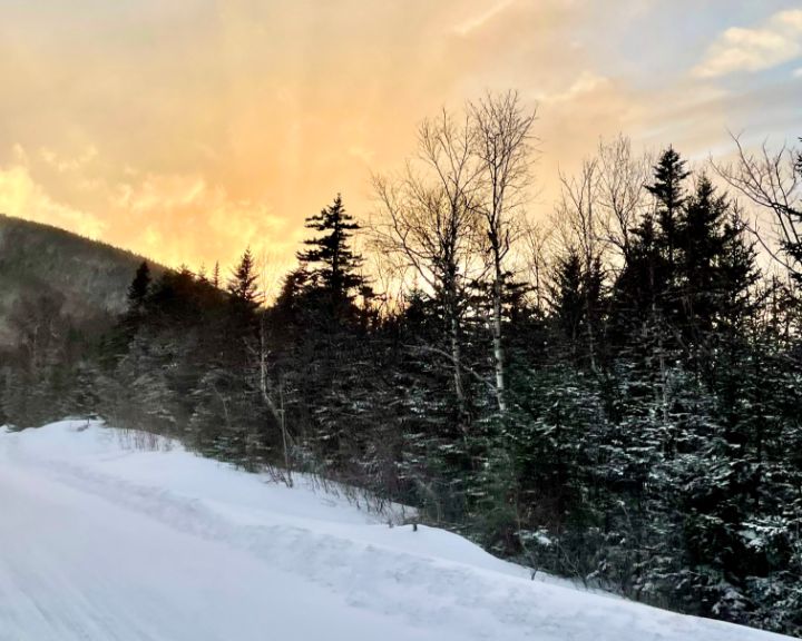 Sunset over the trees - Meander - Photography, Landscapes & Nature ...