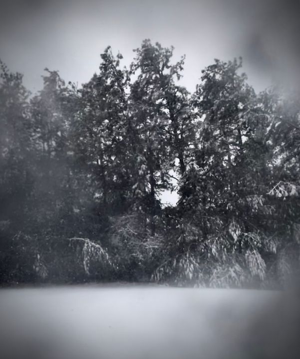 Enveloped - Meander - Photography, Landscapes & Nature, Seasons, Winter ...