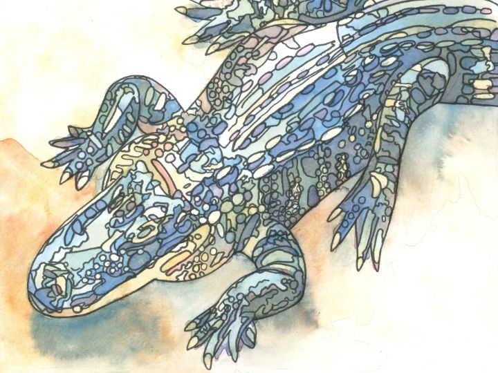 Alligator in Watercolor and Ink - Deborah Forrest - Paintings & Prints ...