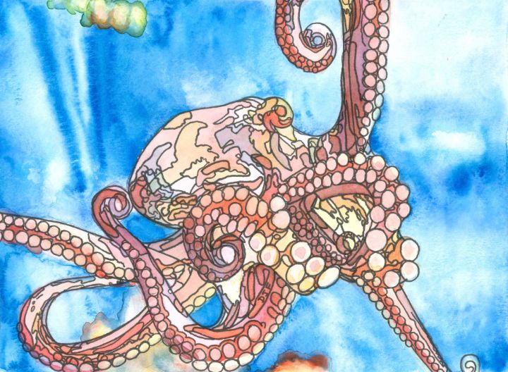 Pink Octopus - Deborah Forrest - Paintings & Prints, Animals, Birds ...