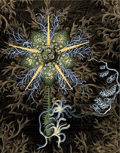 Steven Hefter - Paintings & Prints, Digital Art, Photography