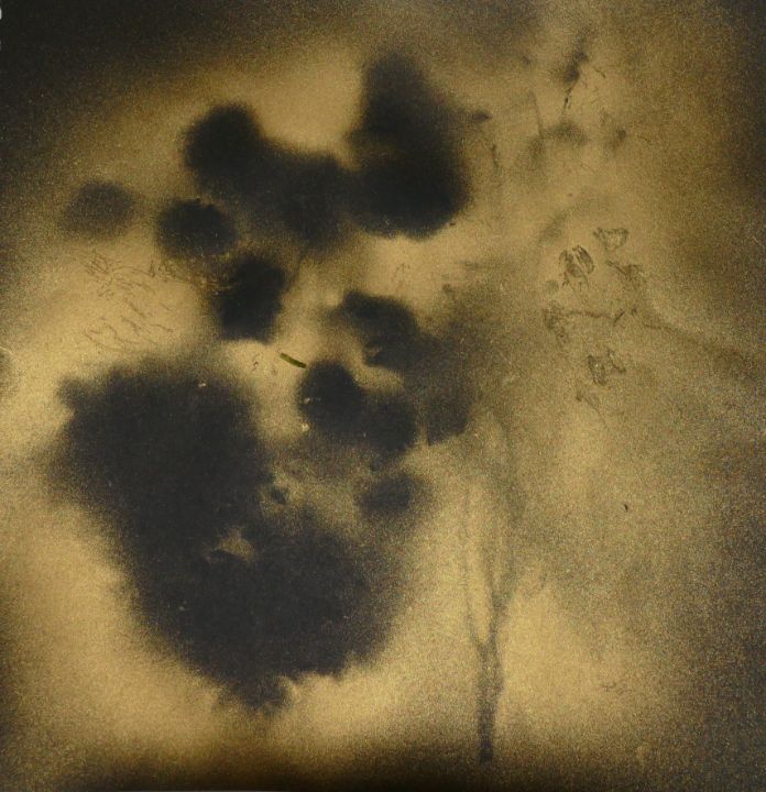 Veils of Light and Shadow - BeauArt - Paintings & Prints, Flowers ...