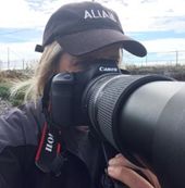 Sue Harper Photography and Artworks