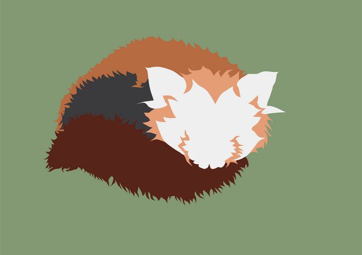 Curly Red Panda - Eruu - Digital Art & AI, Animals, Birds, & Fish ...