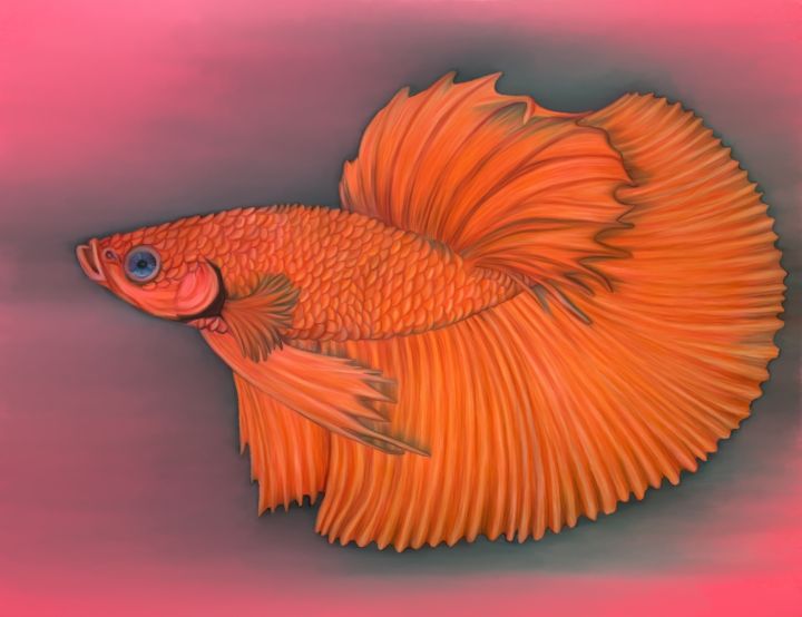 Blue eyed Chinese fighting fish - DanDeelion Artistry - Drawings ...