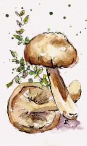 Mici Watercolors - Paintings & Prints