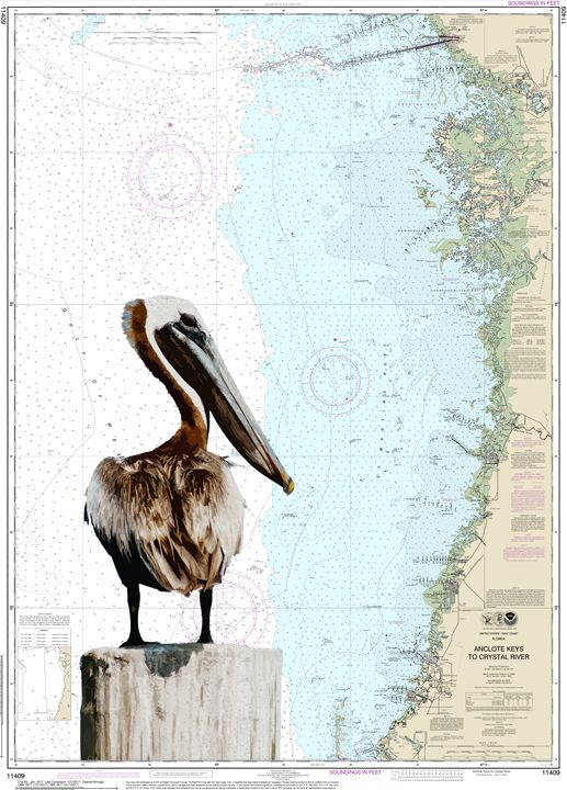 Anclote Keys to Crystal River - ChartArt - Digital Art & AI, Animals ...