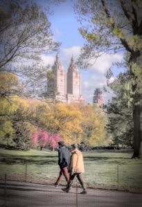 Scenic Trendz - Photography