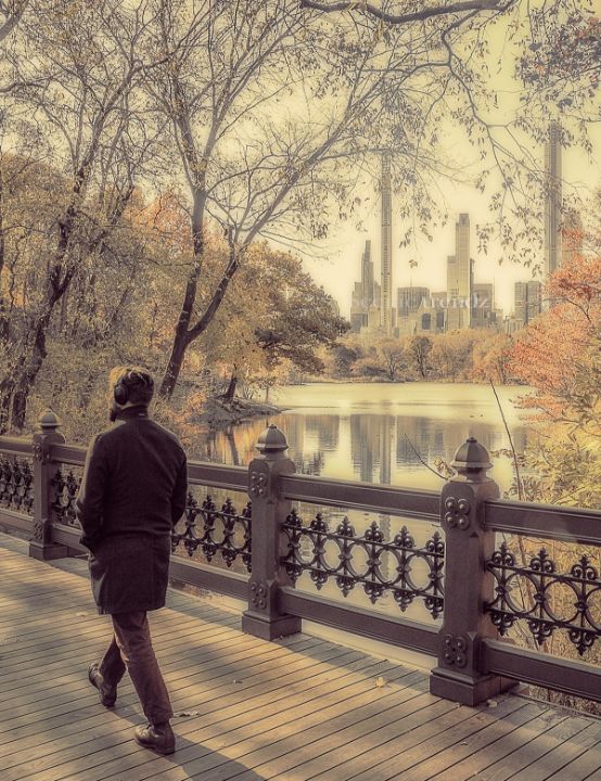 Oak bridge (Central Park) - Scenic Trendz - Photography, Landscapes ...