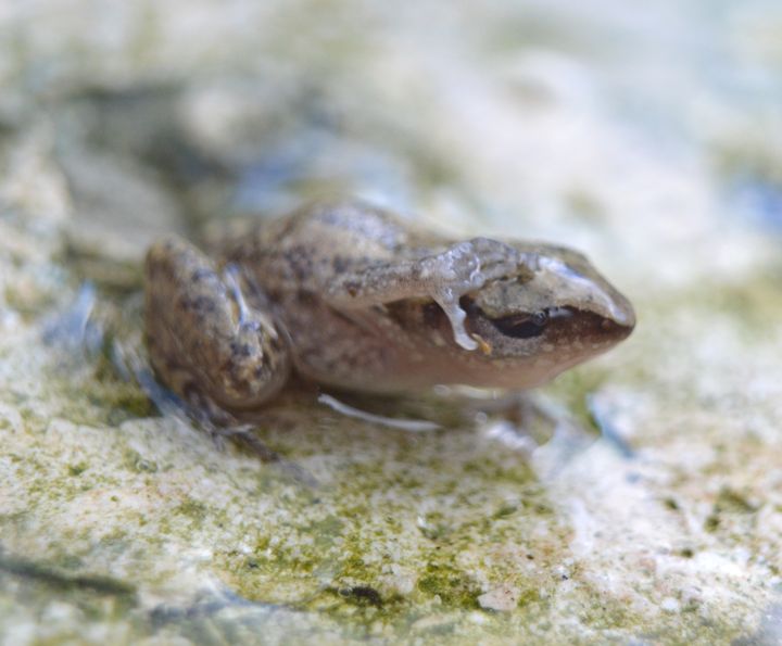 Splish Splash I was Taking A Bath - Timeless Art On Canvas ...