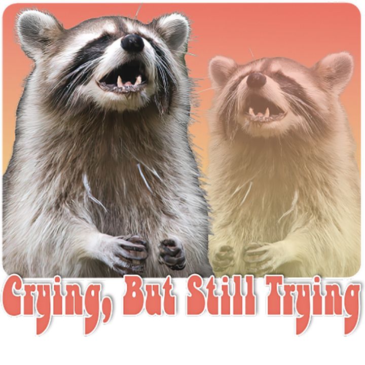 Crying, But Still Trying - Raccoon - MartisArt - Digital Art & AI ...