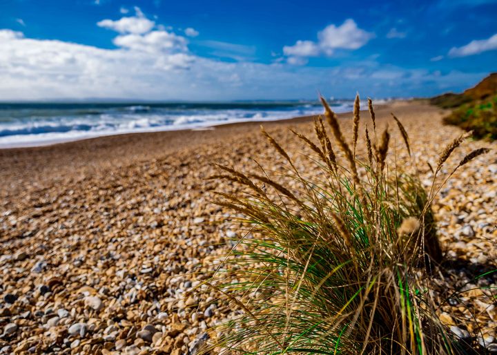 shingle beach - nicspics photography - Photography, Landscapes & Nature ...