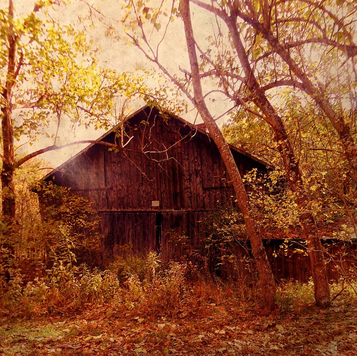 Backroad Barn - David Neace CPX - Photography, Landscapes & Nature ...