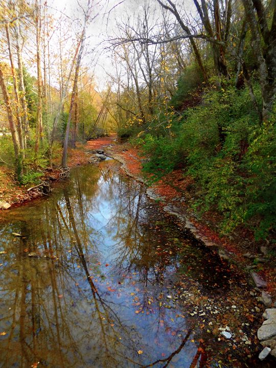 Country Life - David Neace Artist - Photography, Landscapes & Nature ...