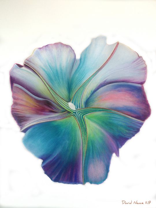 Rhythm Of Life - David Neace Artist - Drawings & Illustration, Flowers ...