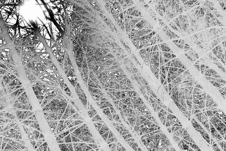 A UniQUE Perspective - Photography, Digital Art & AI