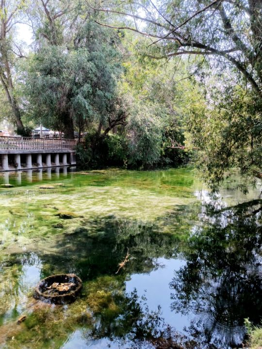 Shady Grove Pond - Kristi Fisk - Photography, Landscapes & Nature ...