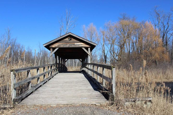 Wooden Bridge - Angela Ennis - Photography, Landscapes & Nature, Paths ...