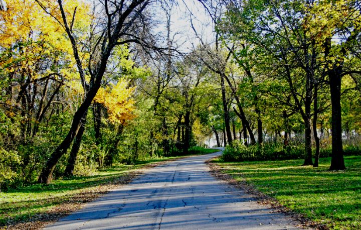 An Iowa Country Road Lined with Tree - Amelia Painter Photography ...