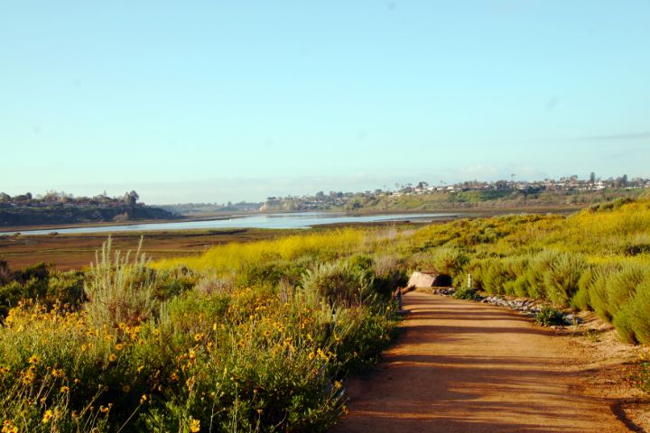 Walking Trail at the Back Bay - Amelia Painter Photography ...