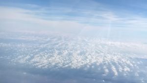 Ju's Gallery - Paintings & Prints, Photography, Drawings & Illustration