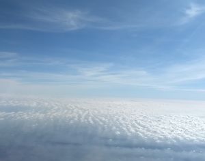 Ju's Gallery - Paintings & Prints, Photography, Drawings & Illustration