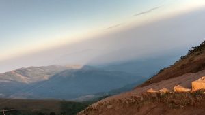 Ju's Gallery - Paintings & Prints, Photography, Drawings & Illustration