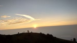 Ju's Gallery - Paintings & Prints, Photography, Drawings & Illustration