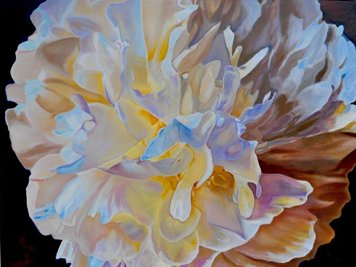 Peonies #2 - Ron Harris Art - Paintings & Prints, Flowers, Plants ...