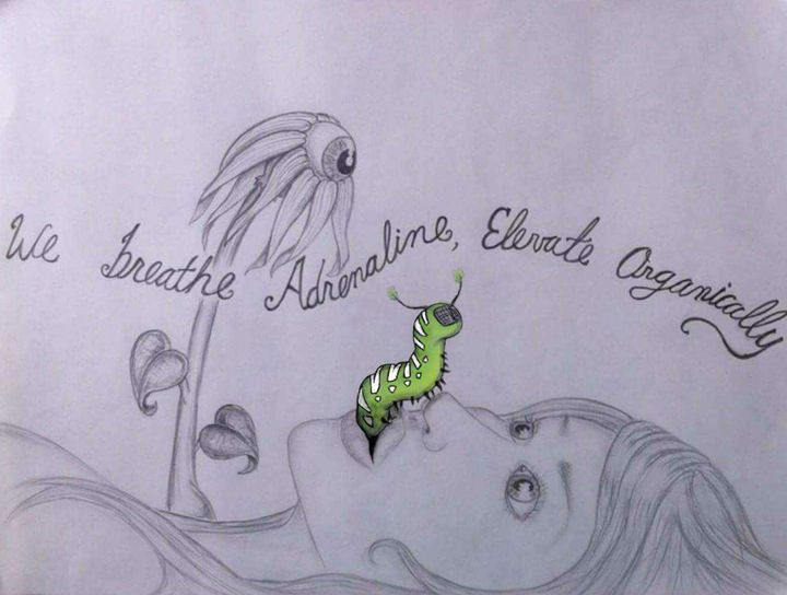 The Paint Junkie - Paintings & Prints, Drawings & Illustration