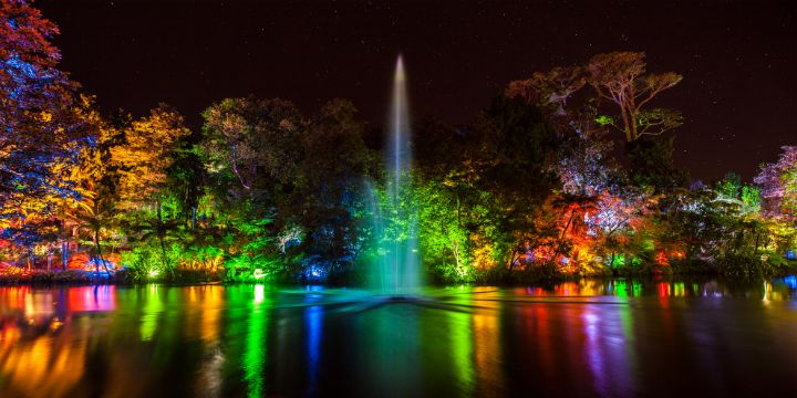 Pukekura Part | Festival of Lights 7 - C J Southern | Photography ...