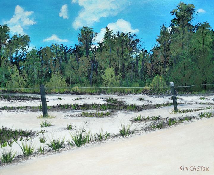 Wacassasa Sand Dunes - Kim Castor - Paintings & Prints, Landscapes ...