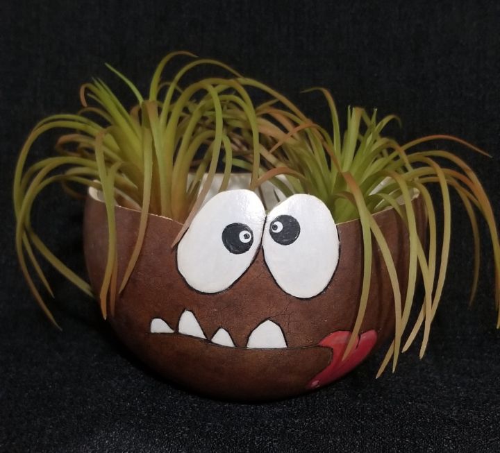Google Eyes planter - Knot Just Gourds - Crafts & Other Art, Gourds ...