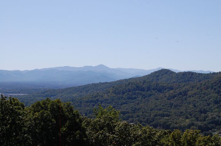 Beyond the Treeline - Cornerstone Images Photography - Photography ...