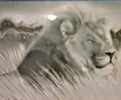 king of the world - IMMORTAL ART - Drawings & Illustration, Animals ...