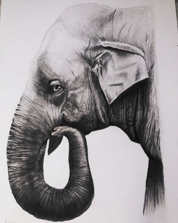 mariya - Drawings & Illustration