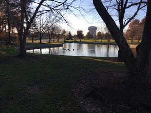 AMY'S ART GALLERY Beauty at it's Best - Photography