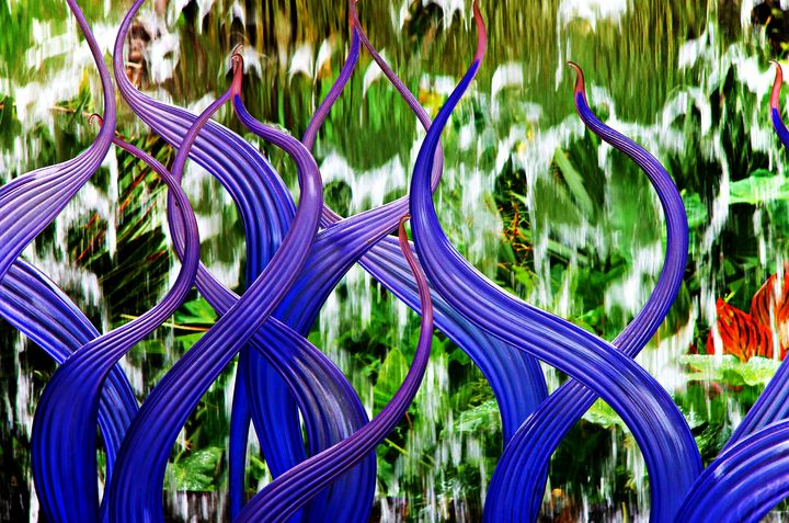 Chihuly6 - Leslie Johnson - Photography, Still Life, Other Still Life ...
