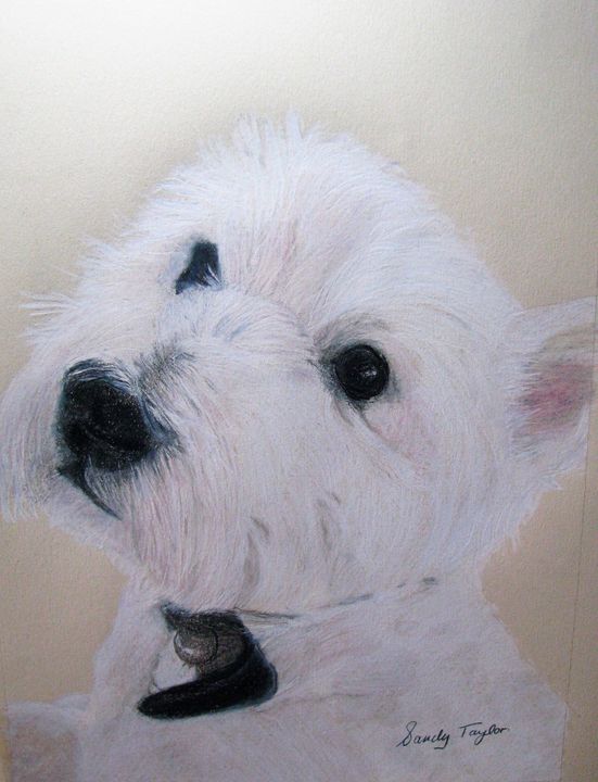 Bonzo - Art by Sandy Taylor - Drawings & Illustration, Animals, Birds ...