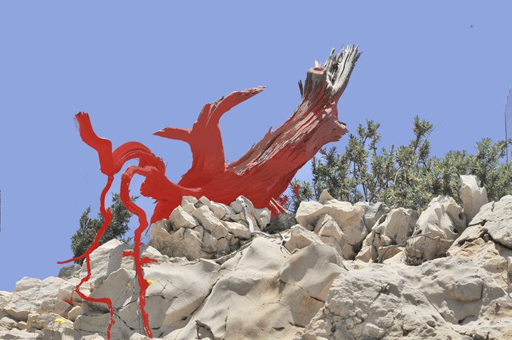 Bleeding stump - Adriatic picture factory - Photography, Flowers ...