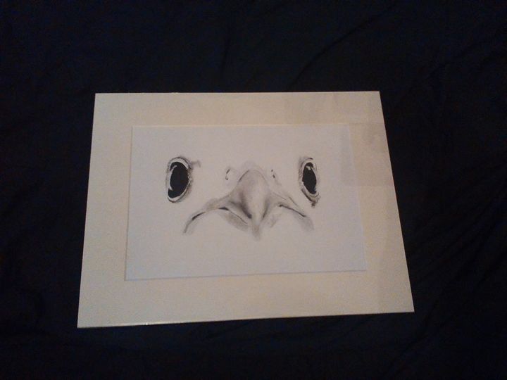 Baby eyes - Reflections - Drawings & Illustration, Animals, Birds ...