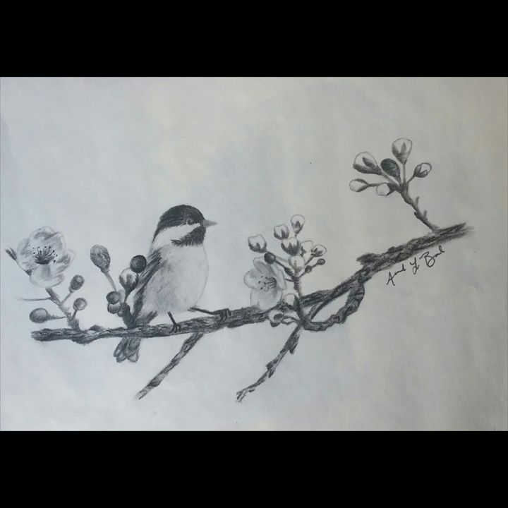 Billings Backyard - Sketches - Drawings & Illustration, Animals, Birds ...